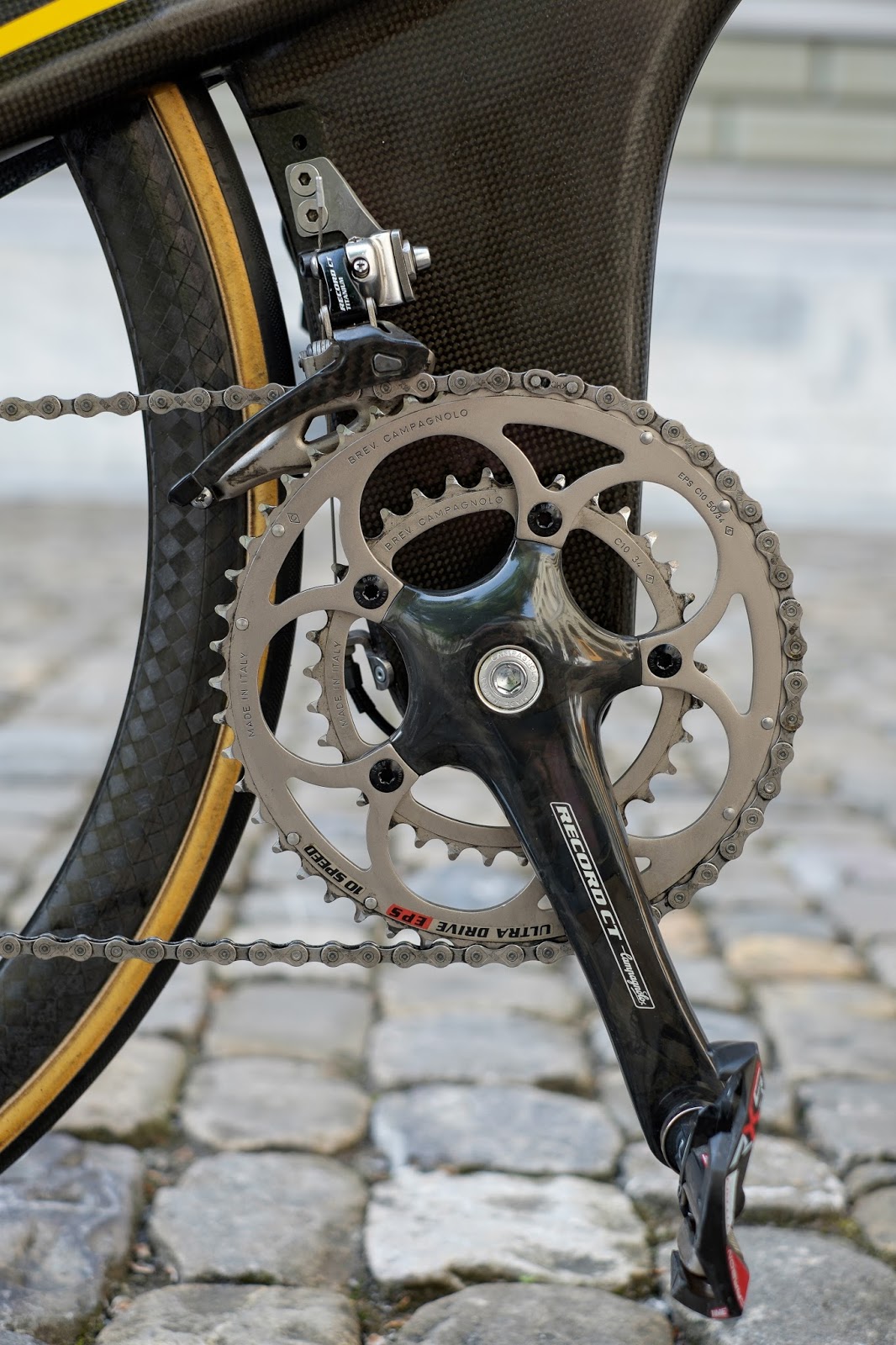 Zuwachs im Zoo: Corima Fox