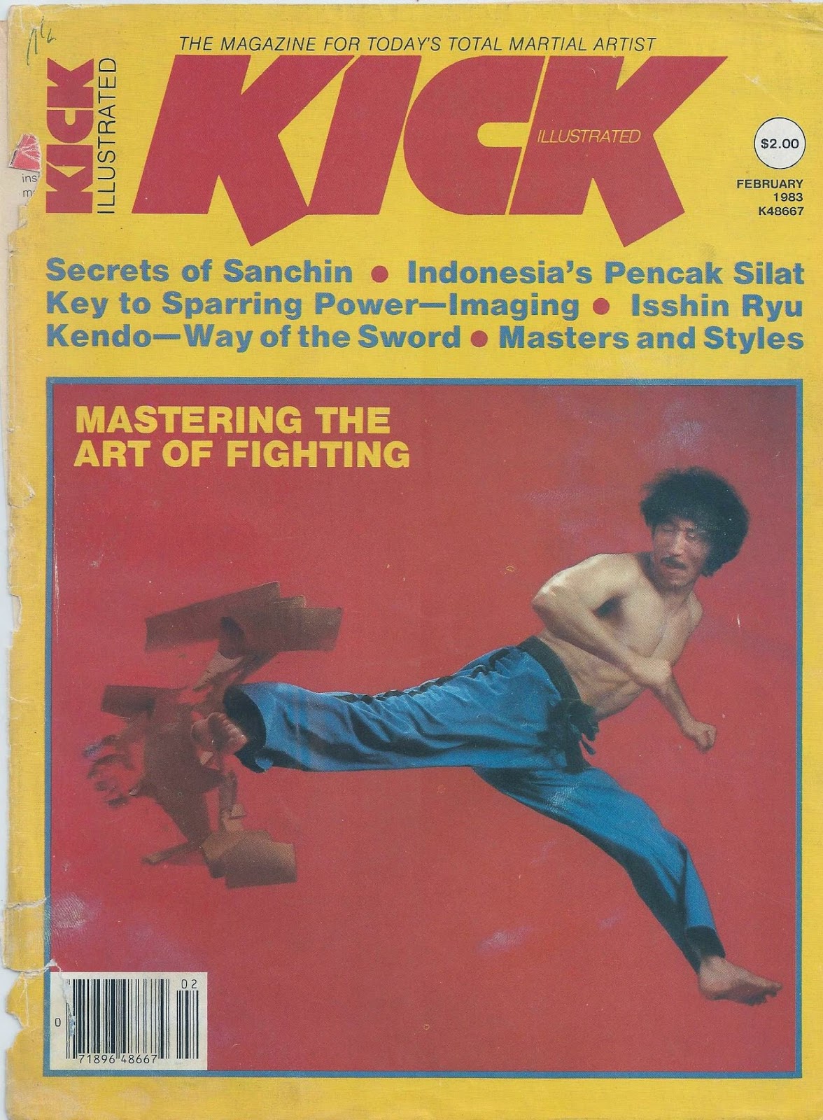 Isshin Concentration The Art Isshin Ryu The Technical Perspective