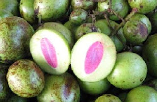 8 Health Benefits of Gandaria Fruits