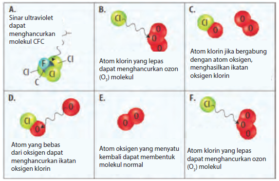 Pras Academy - SMP: Mengenal dan Mempelajari Lapisan Ozon Pras Academy - SMP: Mengenal dan Mempelajari Lapisan Ozon