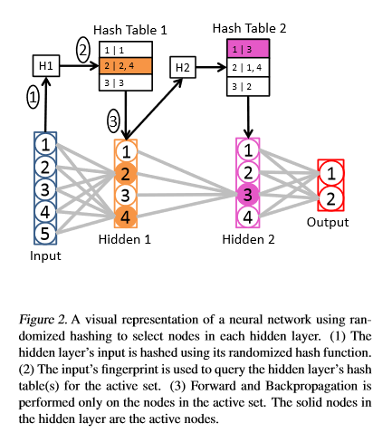 Nuit Blanche: Scalable and Sustainable Deep Learning via Randomized Hashing