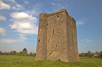 Historic Sites of Ireland: Donore Castle