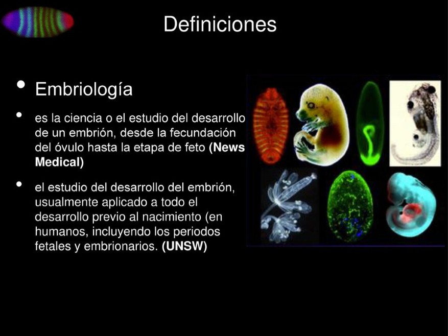 Biología del desarrollo, diferenciación y crecimiento celular