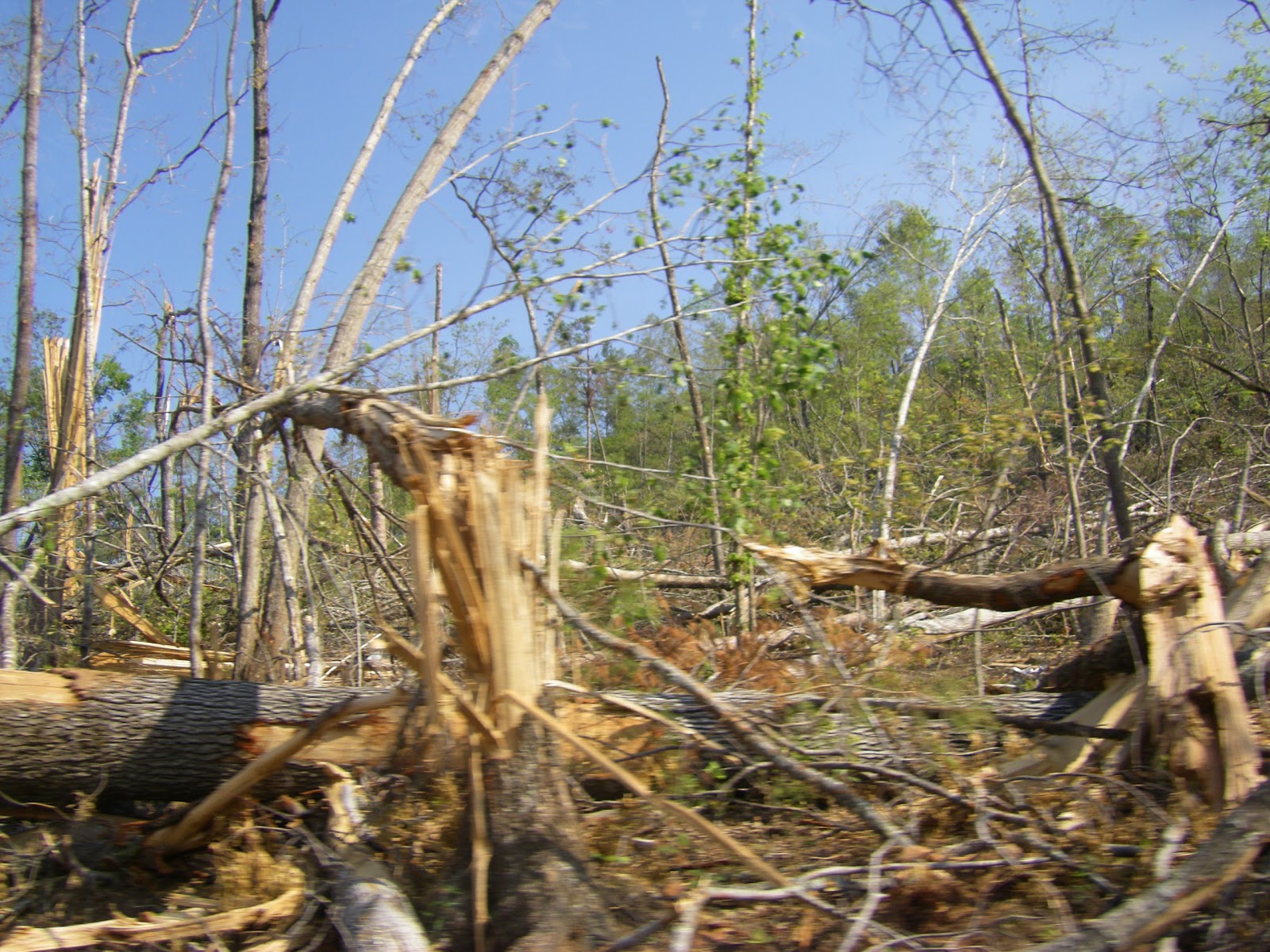 Dancing On The Journey!: Rabun County, GA--Lake Burton Tornado Damage