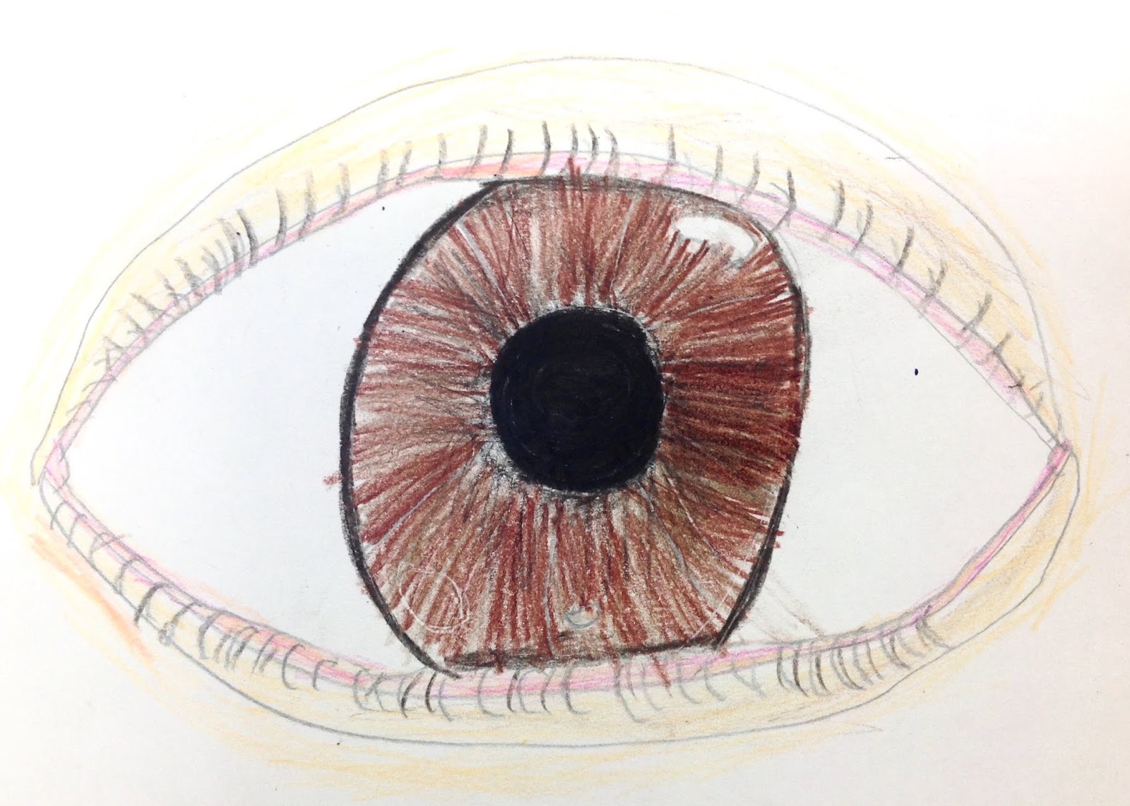 Art With Mr. E: Eyes: 1st Grade