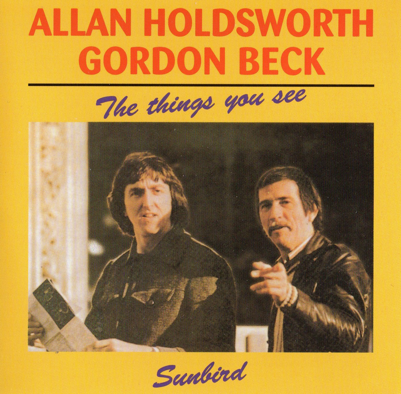 O Púbis da Rosa: ALLAN HOLDSWORTH & GORDON BECK - The Things You See ...