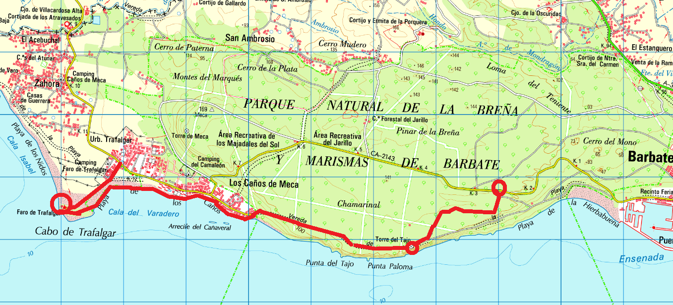 d Ruteo: RUTA ACANTILADOS DE BARBATE Y FARO DE TRAFALGAR