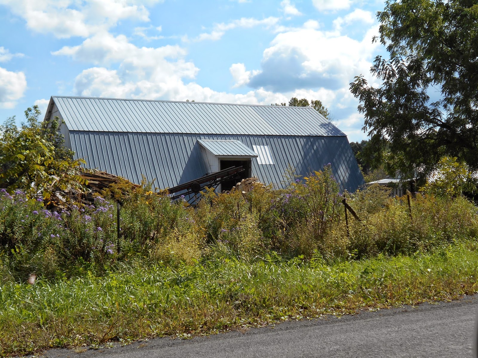 New York State of Mind: SWISS - GERMAN AMISH FARM