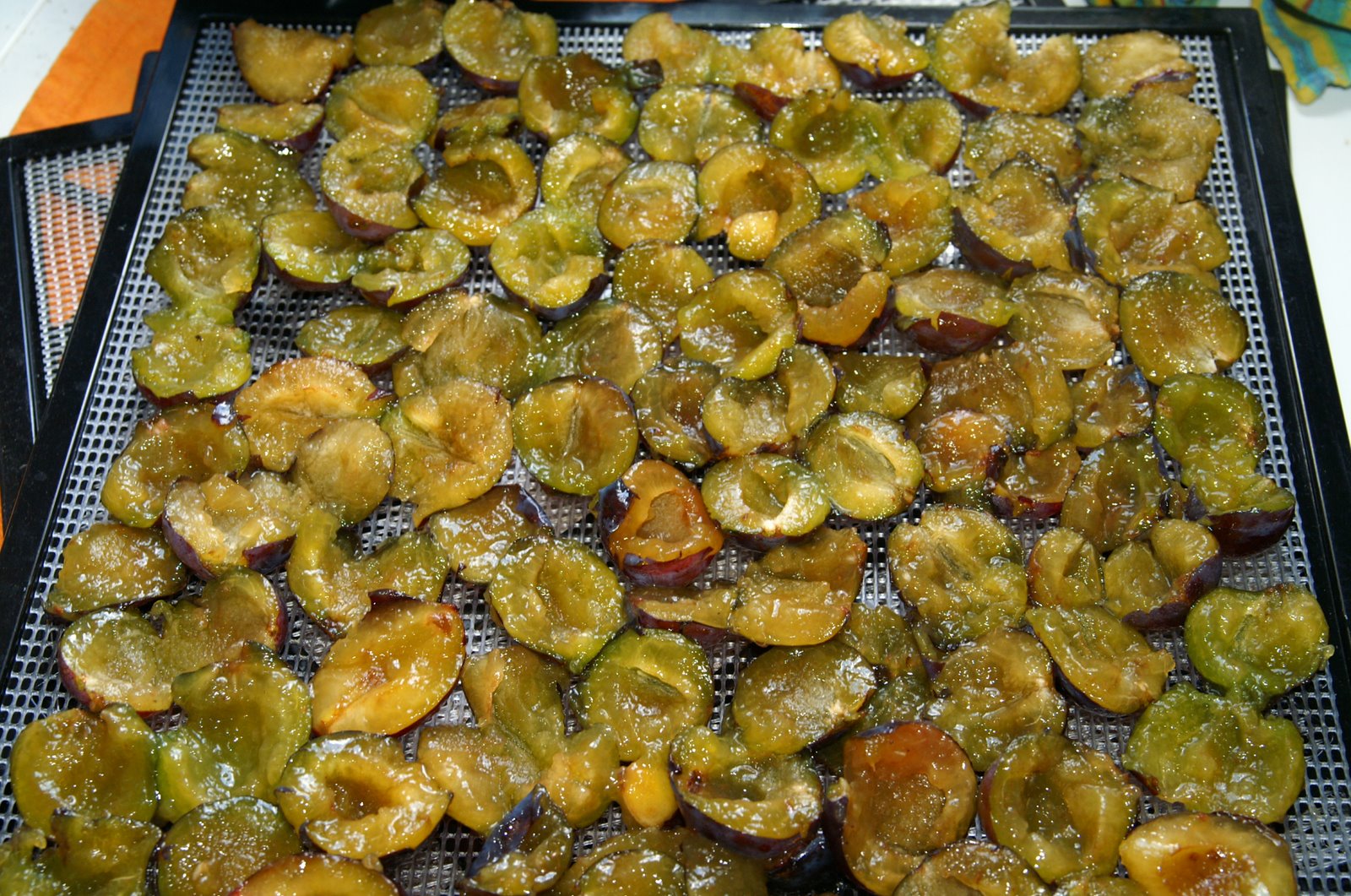 JACKLINEBZH: prunes séchées
