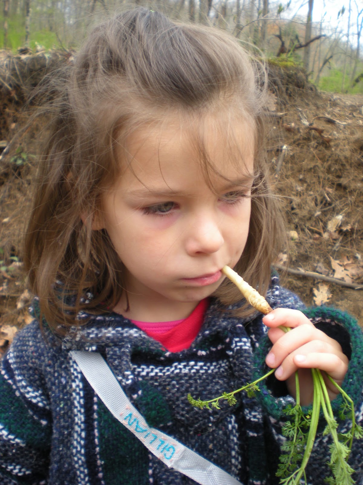 The 3 Foragers: Foraging for Wild, Natural, Organic Food: Foraging With ...