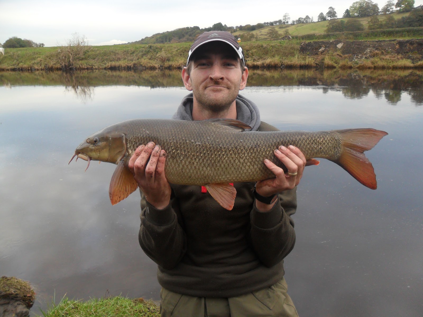 River Ribble Barbel