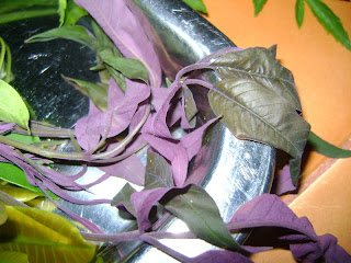 HOME MADE LAKSA PENANG STLYE: NASI ULAM RESEPI PULAU PINANG