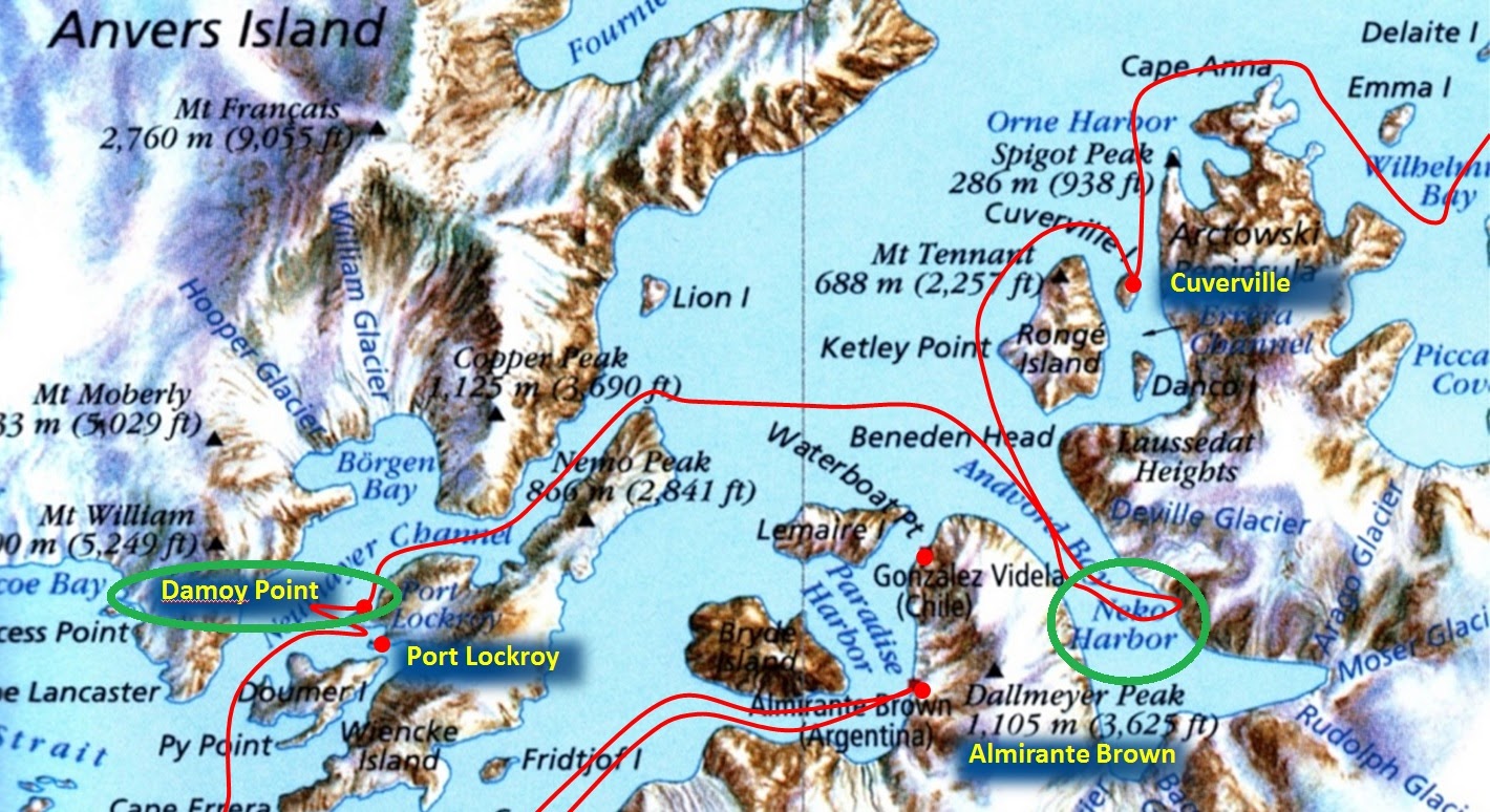 Venus遊世界: Day 14 南極第五站──Neko Harbour、Damoy Point