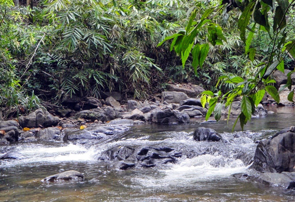 Helabima Tours and Travels: PARAVITHOTA (PAREITHOTA) SRI LANKA