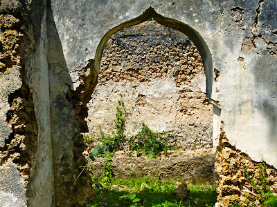 Desi Dixon: Lamu House and Local Ruins at Siyu Fort