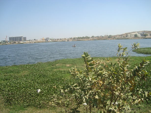 Lakes In Bangalore: Hulimavu Lake