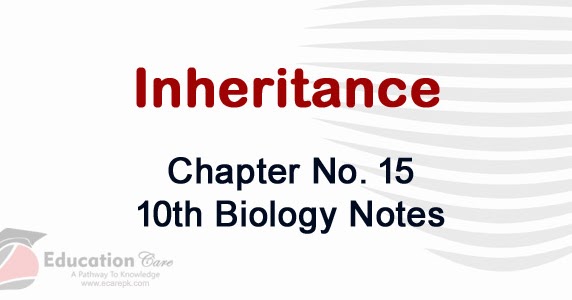 Inheritance Chapter 15 10th Biology Notes 