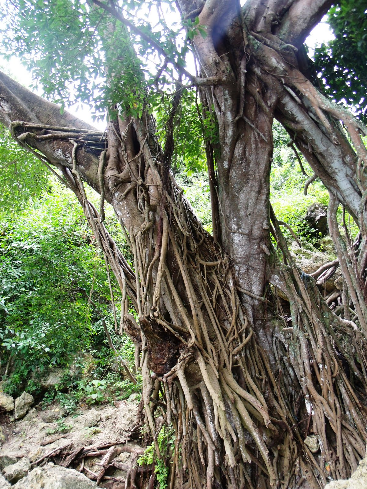 Traveling Morion | Travel + Photography: 2011 First Summer Destination ...