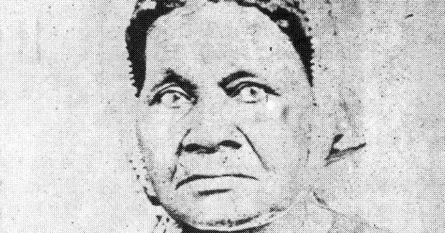 The Digital Research Library of Illinois History Journal™ : Freedom ...