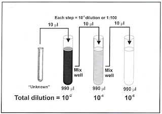 Pre-AP Chemistry: Dilutions