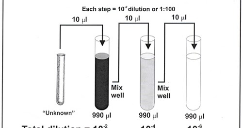 Pre-AP Chemistry: Dilutions