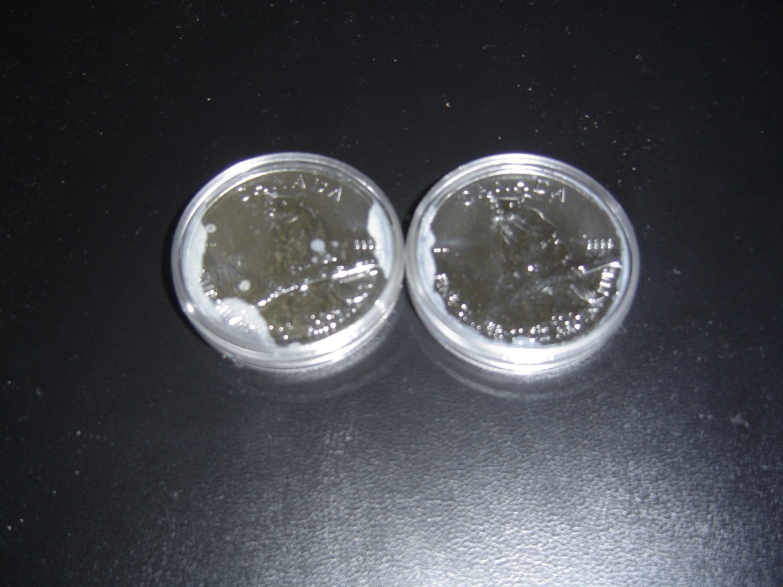 Gold and Silver Bull: Silver Milk Spots