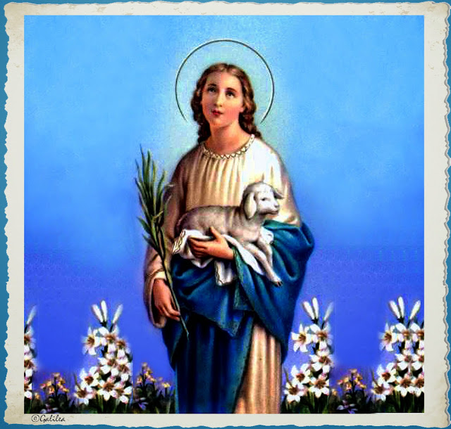 Jesús el Tesoro Escondido: 19 de noviembre Santa Inés de Asís (1197-1253)