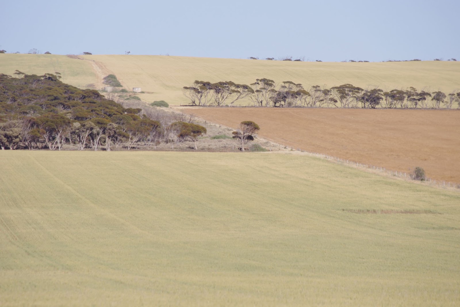 KD Trip Down Under: Saturday, 10/13 Cactus Beach, west of Ceduna, SA to ...