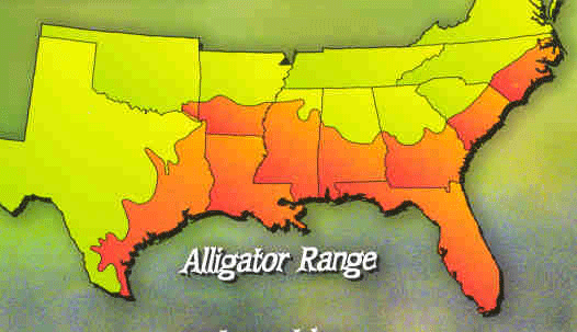 Mind of a Scientist, Heart of an Explorer: Lions, Wolves, and Bears OH ...