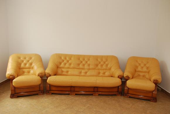 MATERIALE PENTRU TAPIŢERIE: CANAPELE SI FOTOLII DIN PIELE