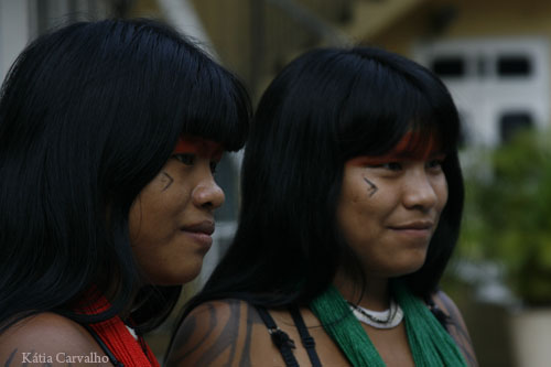 Kamayura - JungleKey.fr Image