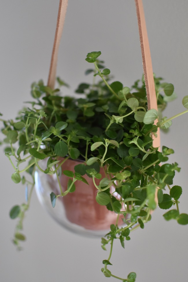 Amppeli ja sen asennus