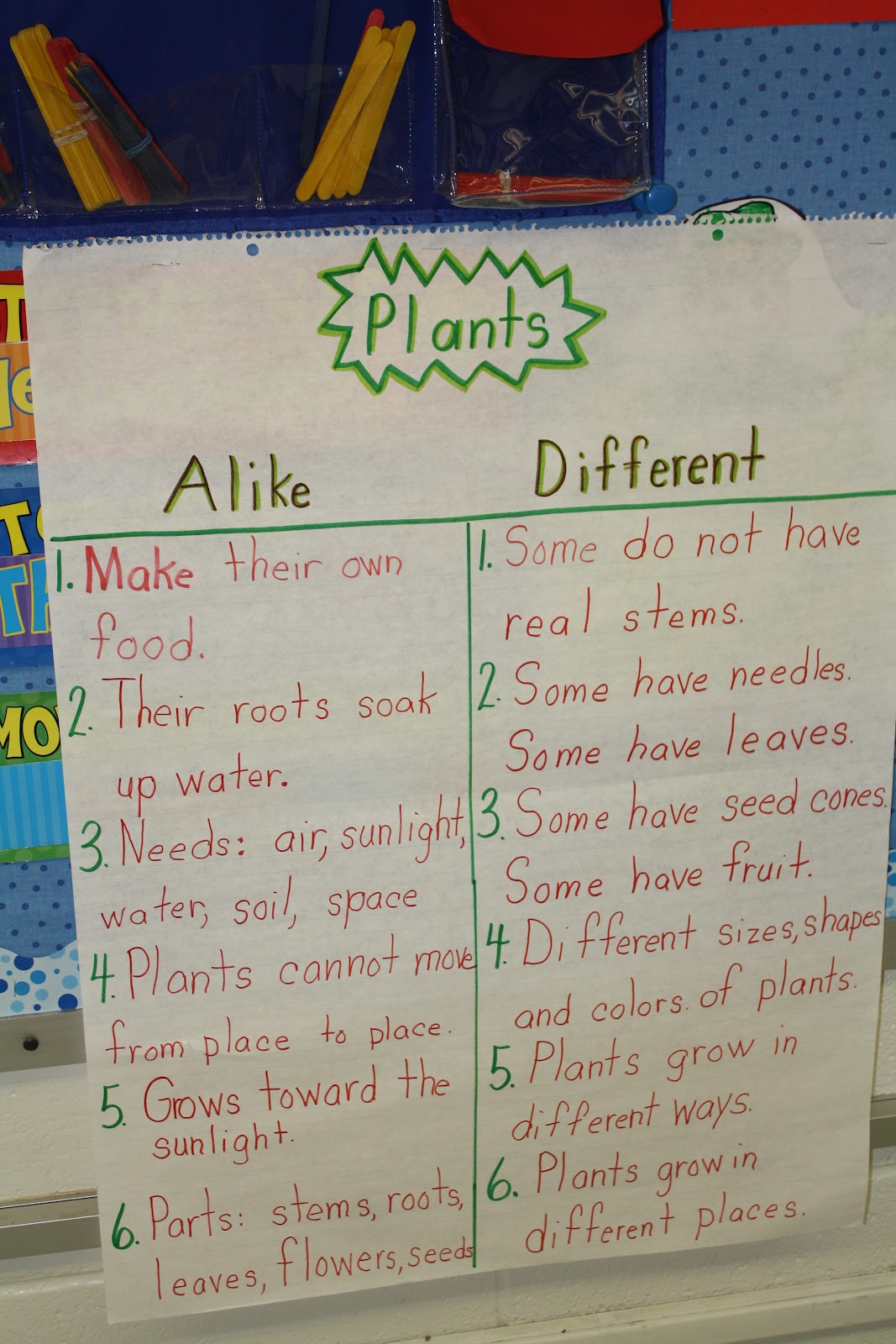 First Grade Days!: Away We Grow! Week 1