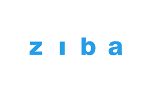 Ziba: Experience Through Design | The Business Scholar