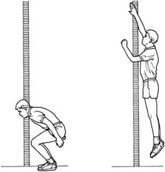 Vertical Jump dan Standing Broad Jump (Mengukur Power Otot Tungkai ...