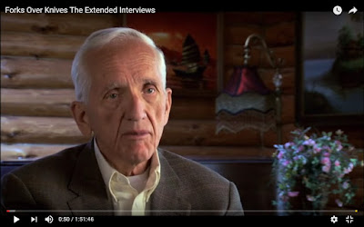 Michal Shark: PROČ NEJÍM MASO 2 (zdraví na prvním místě)