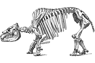Toxodon