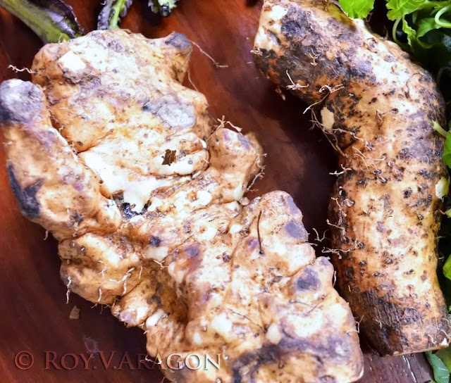 buridibod a kamangeg nga addaan pallang ken kalunay sa nasagpawan ...