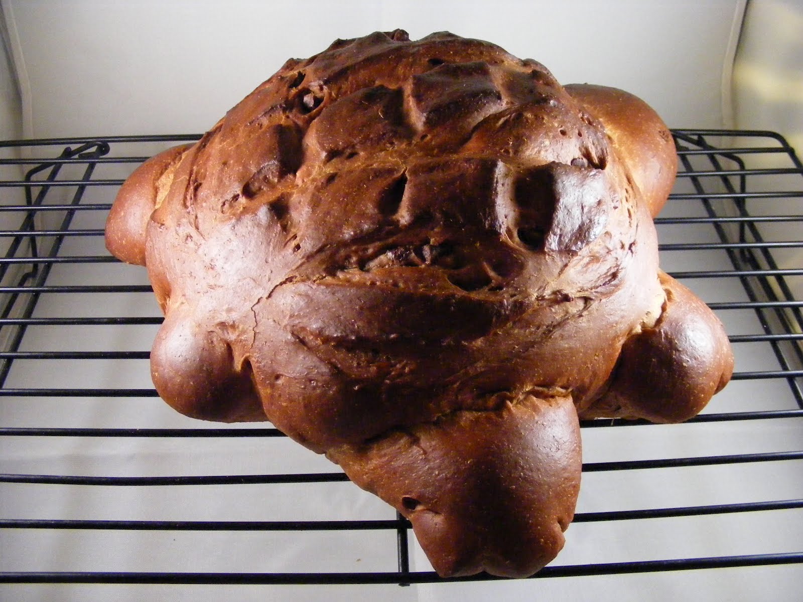 Weekend Experiments: Chocolate Turtle Bread!