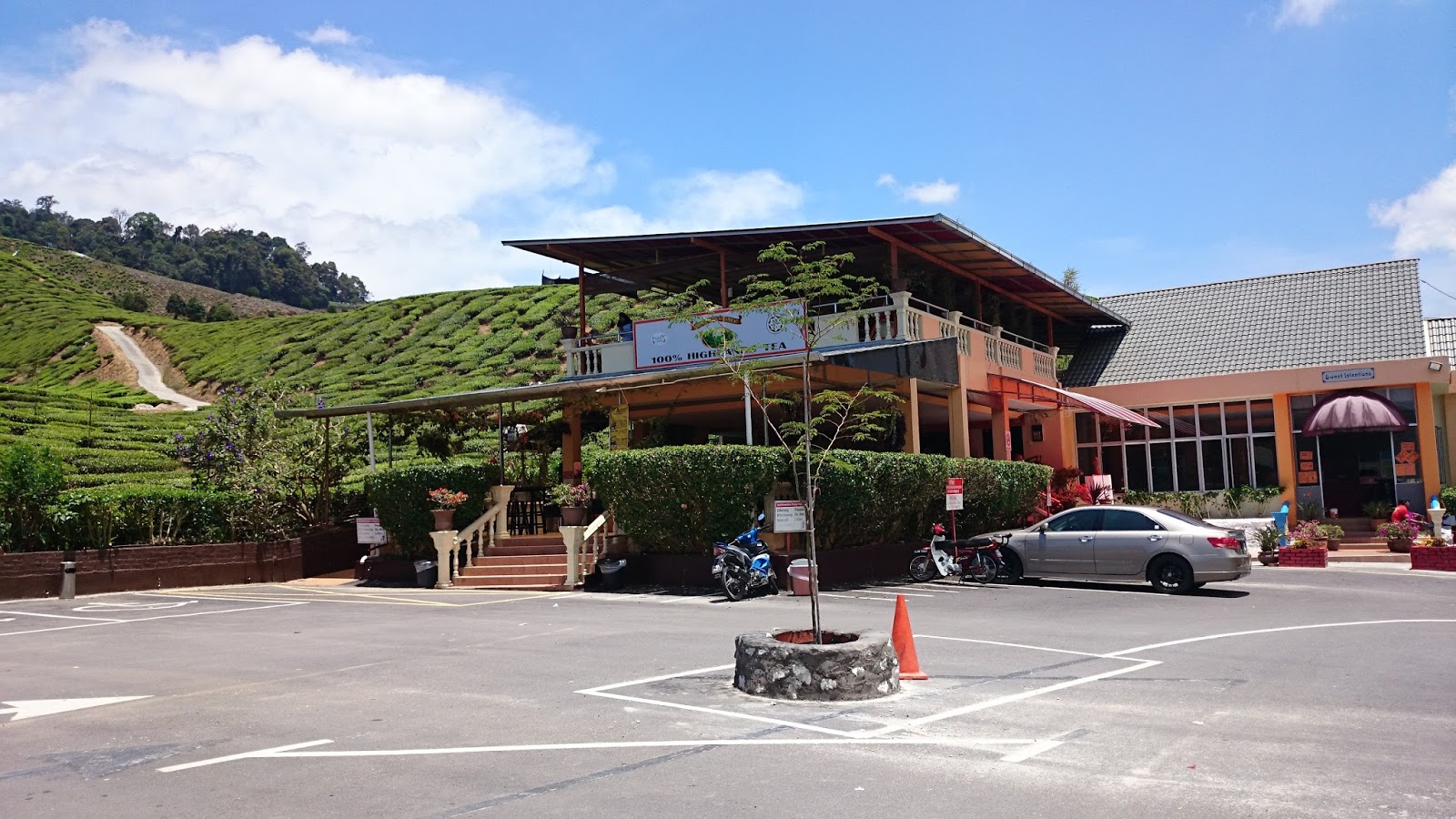 Today BAHAGIA: CAMERON VALLEY TEA HOUSE, CAMERON HIGHLAND