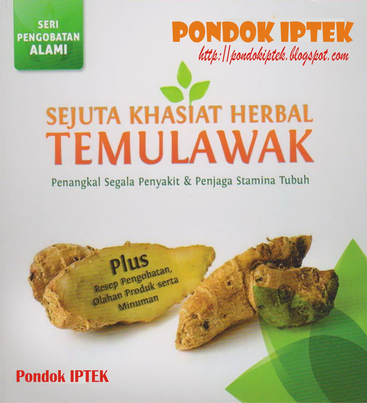 NDOROGURU.COM: Khasiat Temulawak (Curcuma Xanthorrhiza Roxb)