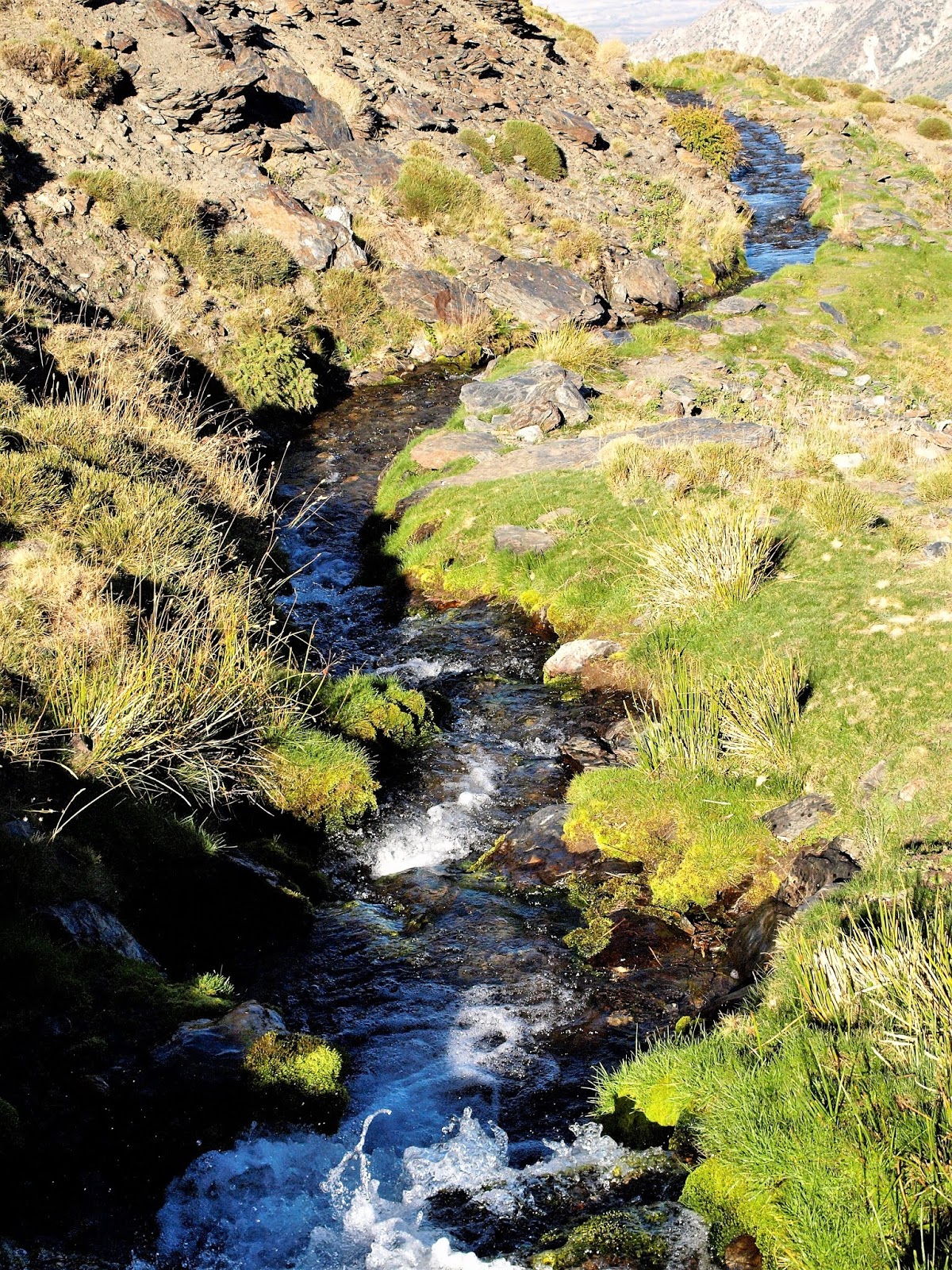 Caminando por Sierras y Calles de Andalucía: Acequia de Los Hechos o ...