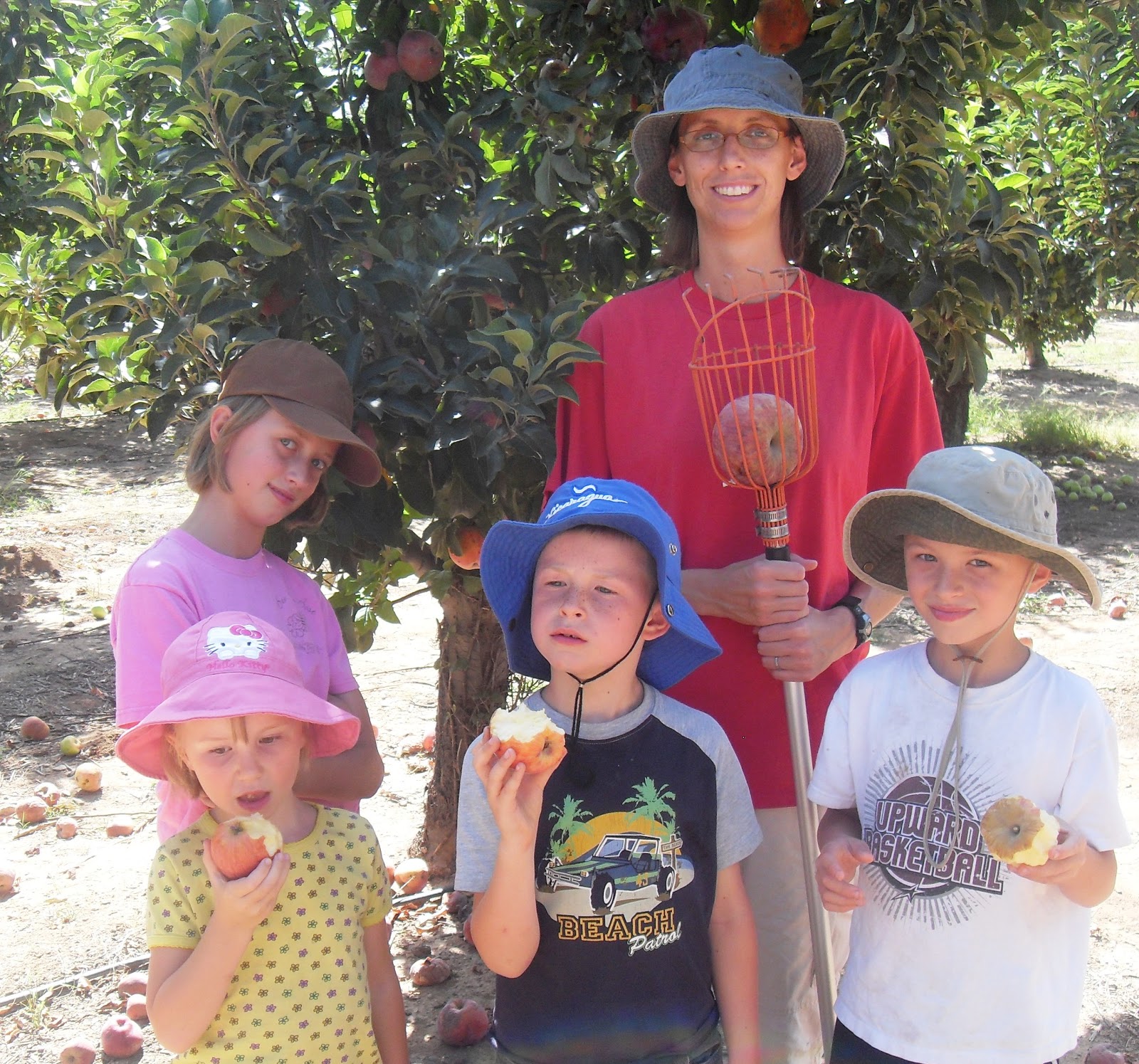 The Scientific Gardener: 11/1/12 - 12/1/12