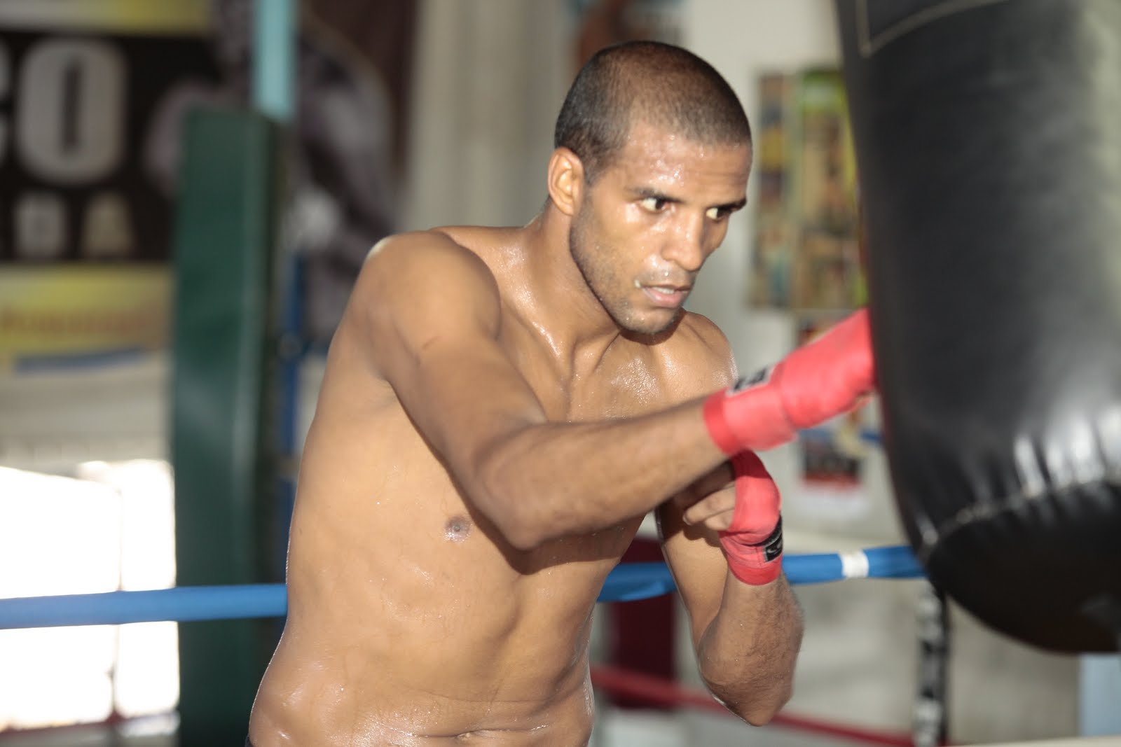 Panama Boxing: Pronostica nocaut