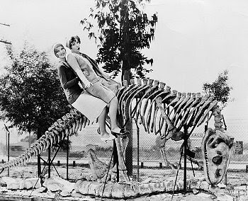 C in é - I m m o r t e l📽️