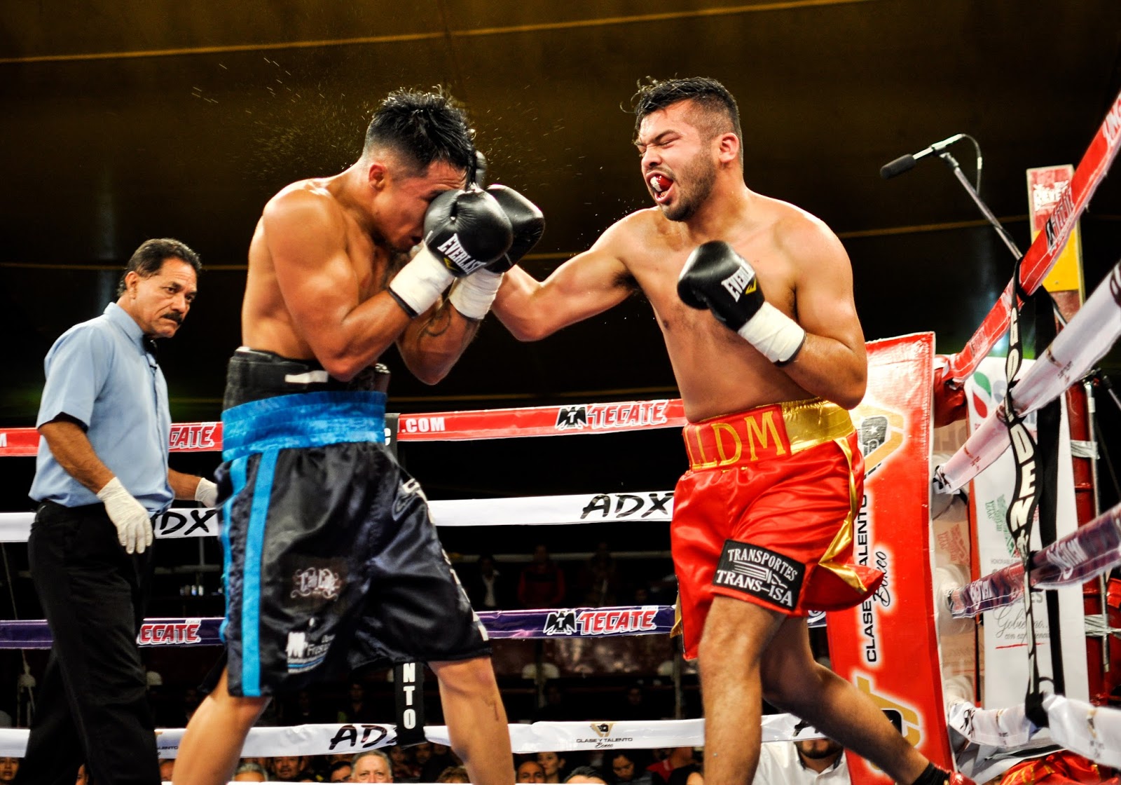 CLASE Y TALENTO BOXEO