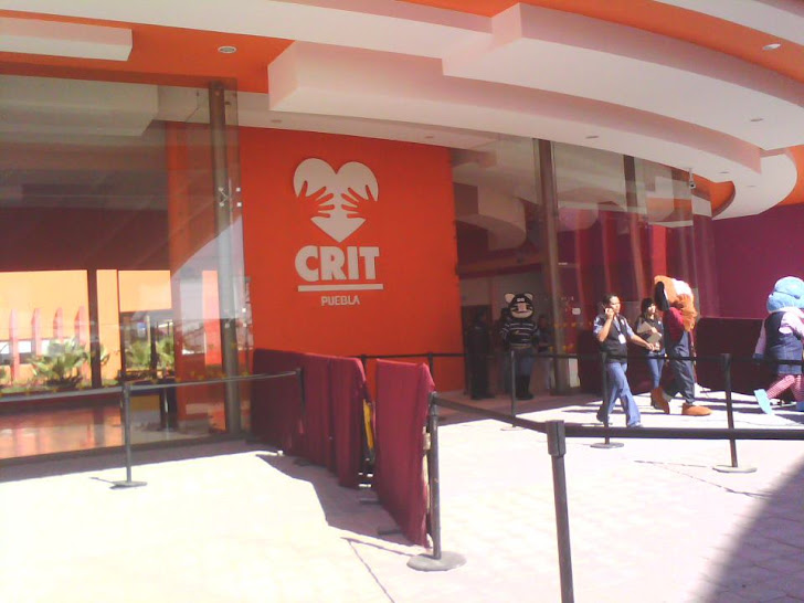 CRIT: TIPOS DE DISCAPACIDAD QUE SE ATENDERÁN EN EL CRIT PUEBLA