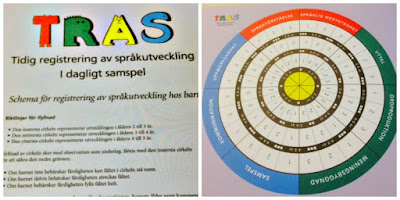 Pedagoglycka: TRAS som stöd för verksamheten
