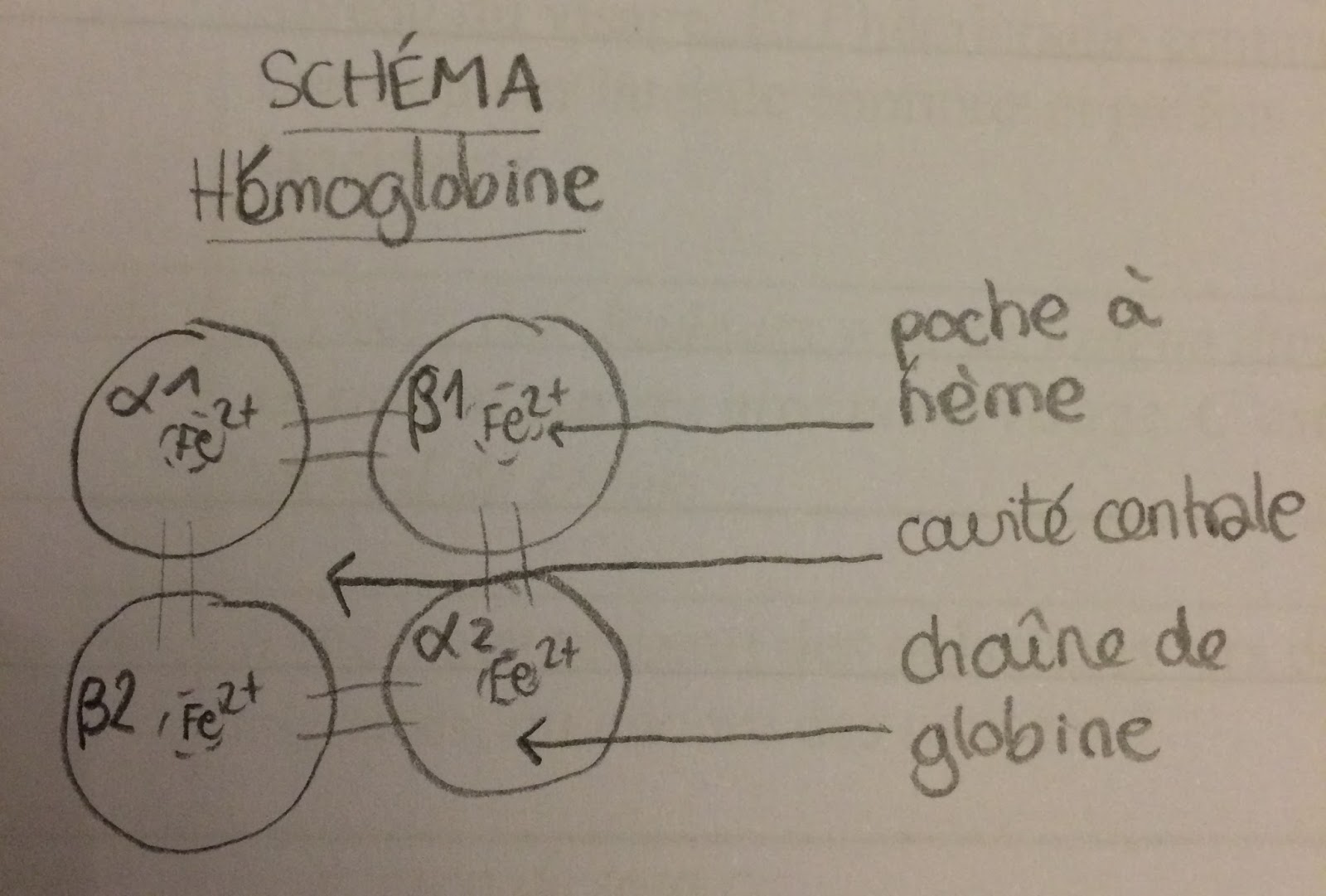 Esprit Scientifique: février 2016