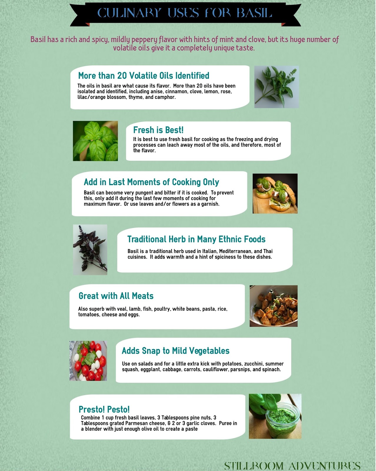 Basil: The Ultimate Guide